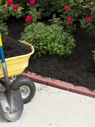 Composting, Mulch Production, Debris Removal | Felda & Naples, FL