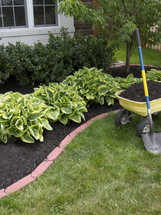 Composting, Mulch Production, Debris Removal | Felda & Naples, FL